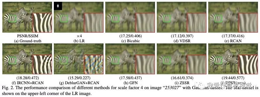 CVPR 2019 神奇的超分辨率算法DPSR：应对图像模糊降质（其实就是个垃圾）_dpsr水下图像超分辨率-CSDN博客