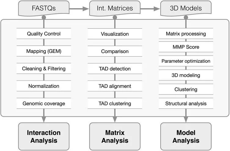使用TADbit识别拓扑关联结构域-CSDN博客