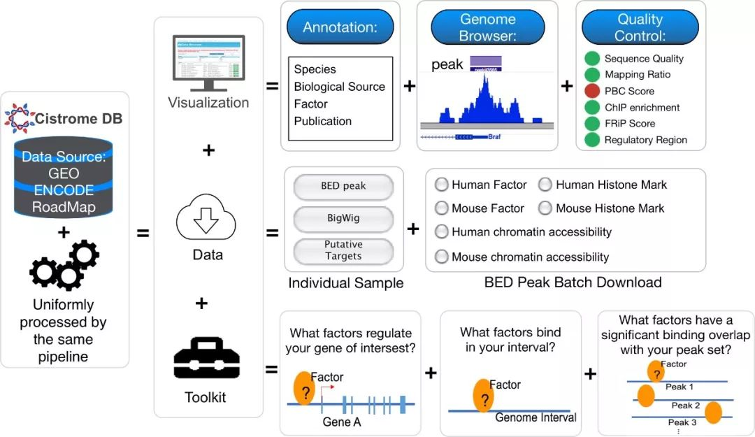 Cistrome DB:人和小鼠的chip_seq数据库-CSDN博客