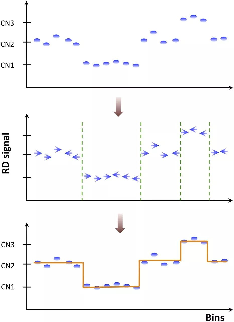 CNVnator原理简介-CSDN博客