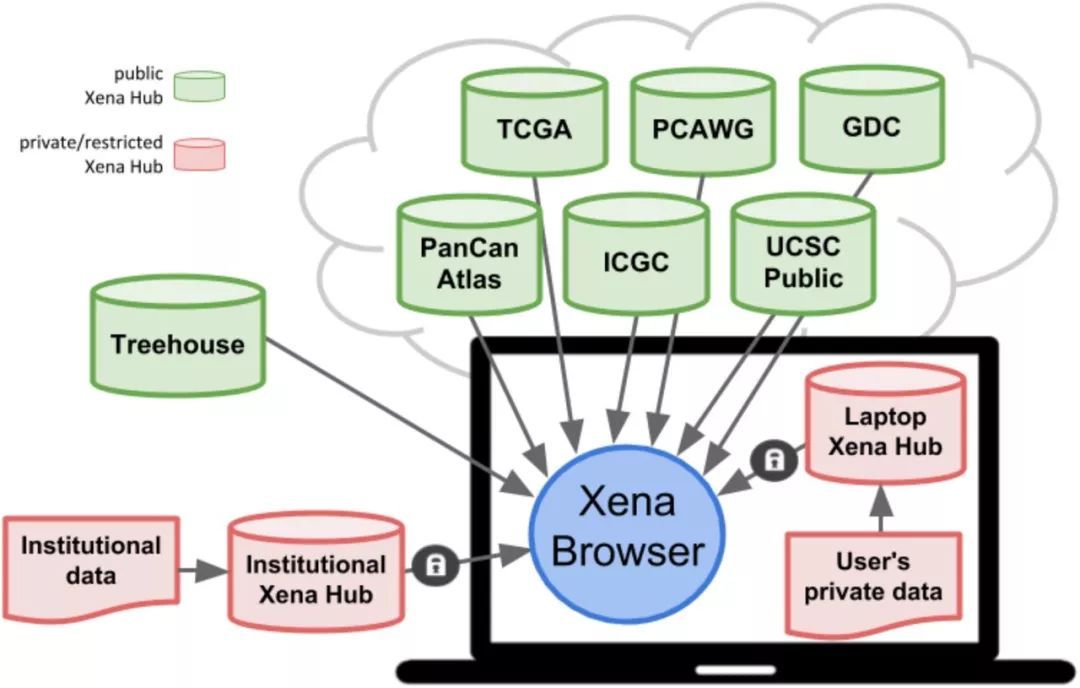 UCSC Xena:癌症基因组学数据分析平台-CSDN博客