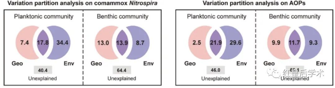 ISME：长江流域Comammox Nitrospira的群落、生物地理学和生态驱动者-CSDN博客