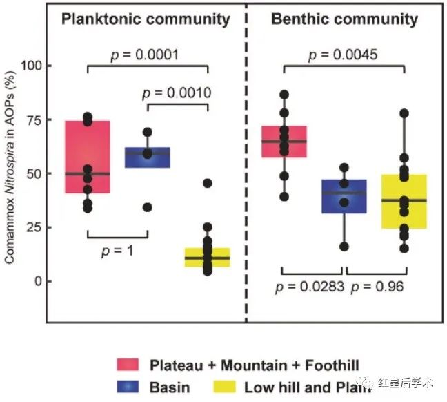 ISME：长江流域Comammox Nitrospira的群落、生物地理学和生态驱动者-CSDN博客