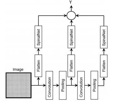 SpinalNet：使用逐步输入的深度神经网络-CSDN博客