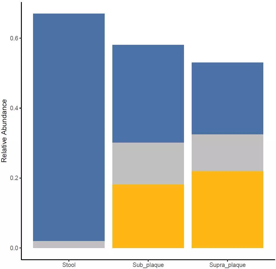 16S预测细菌表型-bugbase：革兰氏阴阳、生物膜、致病力、移动元件、氧气消耗等...-CSDN博客