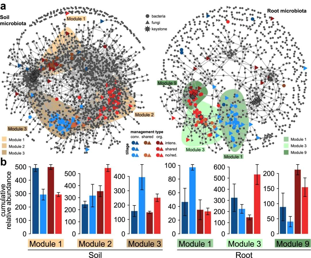 252体现组间差异OTU模块的微生物网络图-CSDN博客