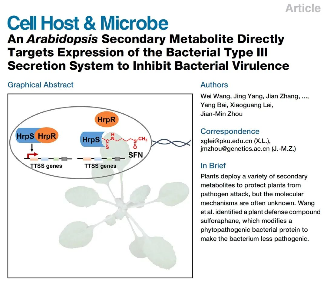 Cell子刊：特异靶向病原菌致病力的植物天然产物的作用机制-CSDN博客