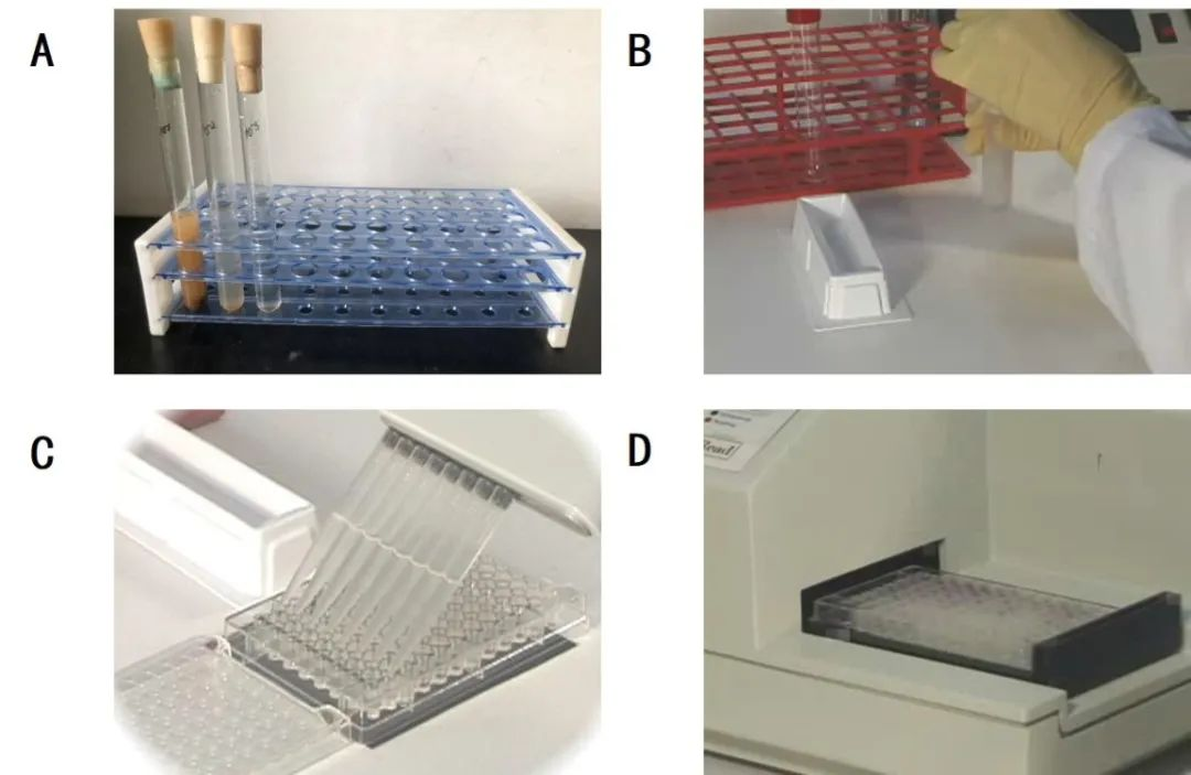 MPB：基于BIOLOG的微生物群落功能分析-CSDN博客