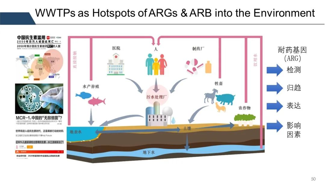 西湖大学鞠峰：环境微生物宏基因组学(报告视频+PPT,11月23日)-CSDN博客