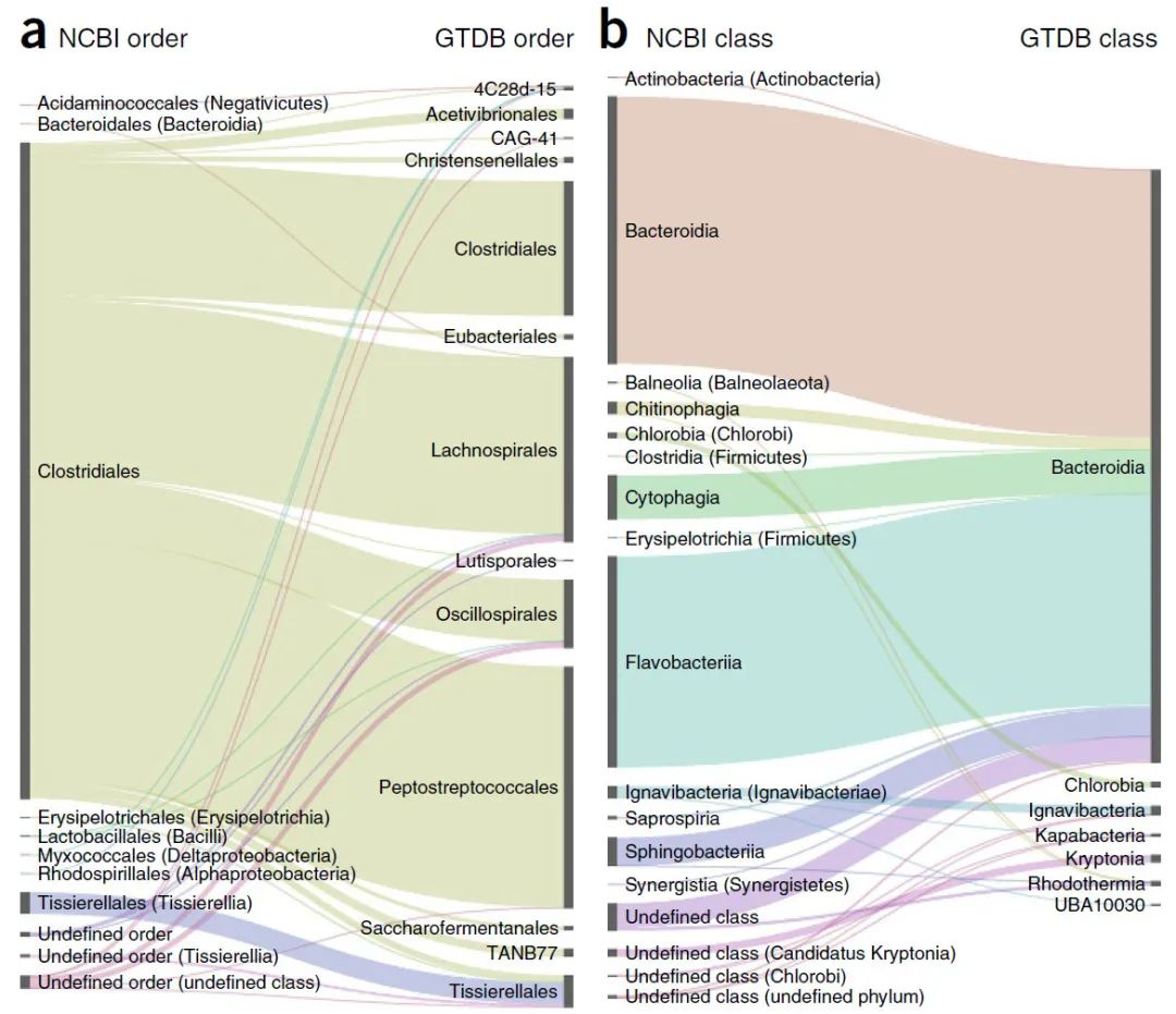 GTDB：基因组分类数据库，物种注释和进化树构建工具GTDB-tk-CSDN博客