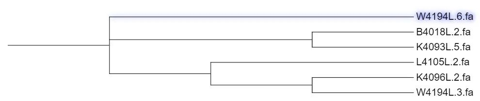 GTDB：基因组分类数据库，物种注释和进化树构建工具GTDB-tk-CSDN博客