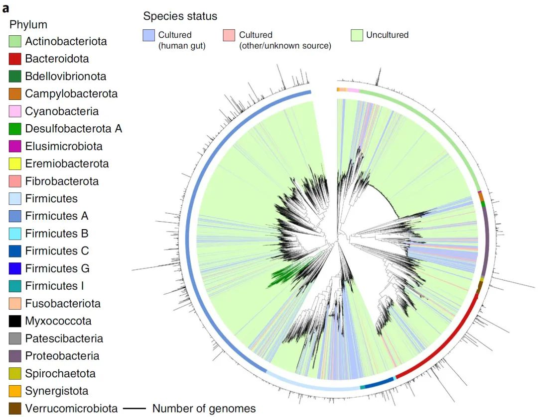 GTDB：基因组分类数据库，物种注释和进化树构建工具GTDB-tk-CSDN博客
