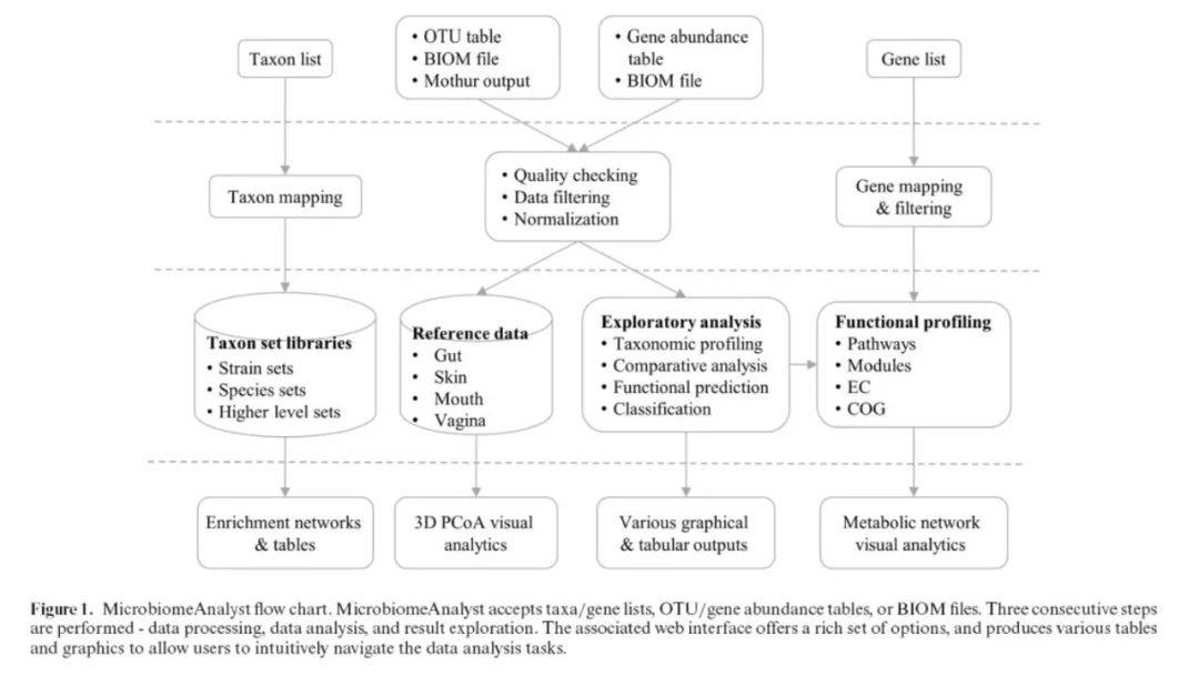 MicrobiomeAnalyst：一款综合的可视化微生物组学数据分析网页工具-CSDN博客