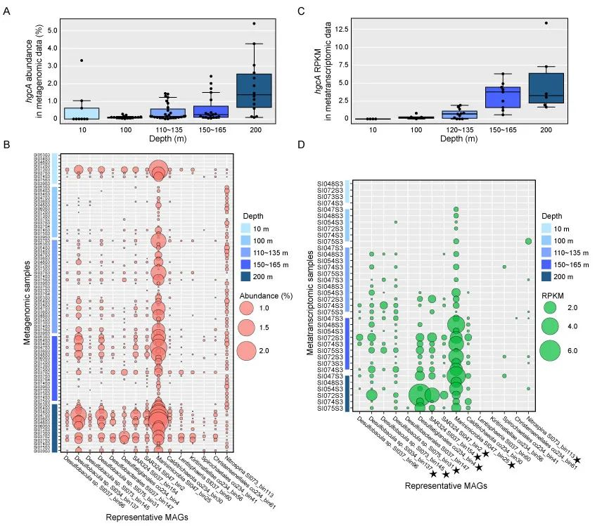 ISME：多组学揭示低氧环境下的汞甲基化细菌-CSDN博客