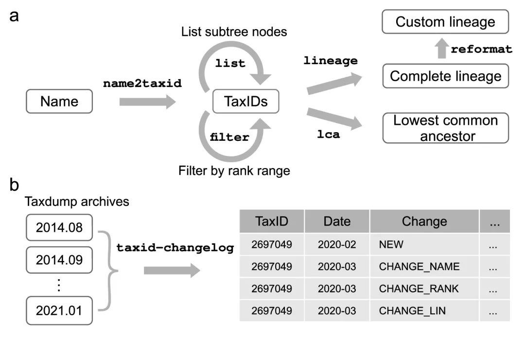 TaxonKit：小巧、高效、实用的NCBI分类学数据命令行工具-CSDN博客