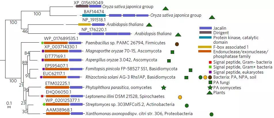 Nature Genetics：微生物如何适应植物的？-CSDN博客