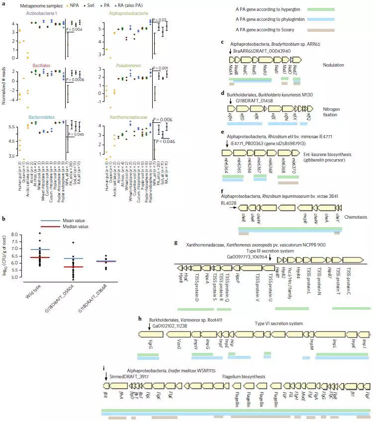 Nature Genetics：微生物如何适应植物的？-CSDN博客