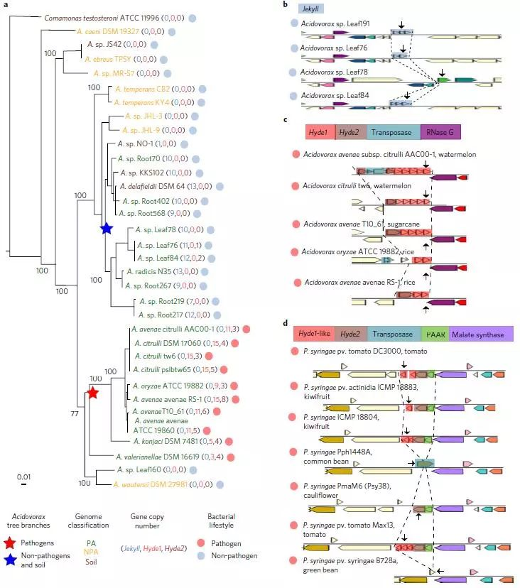 Nature Genetics：微生物如何适应植物的？-CSDN博客