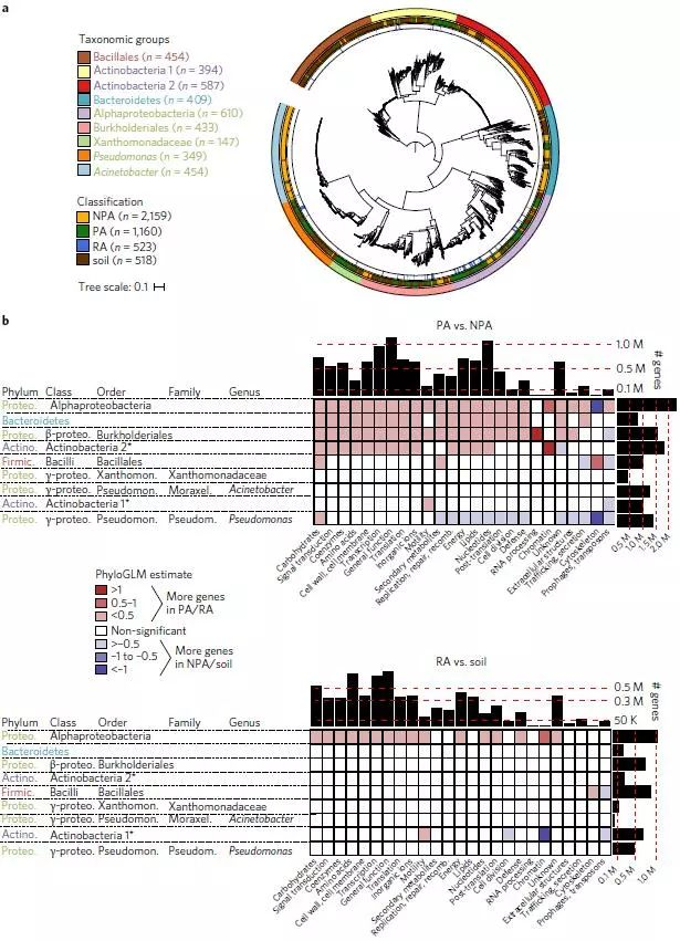 Nature Genetics：微生物如何适应植物的？-CSDN博客