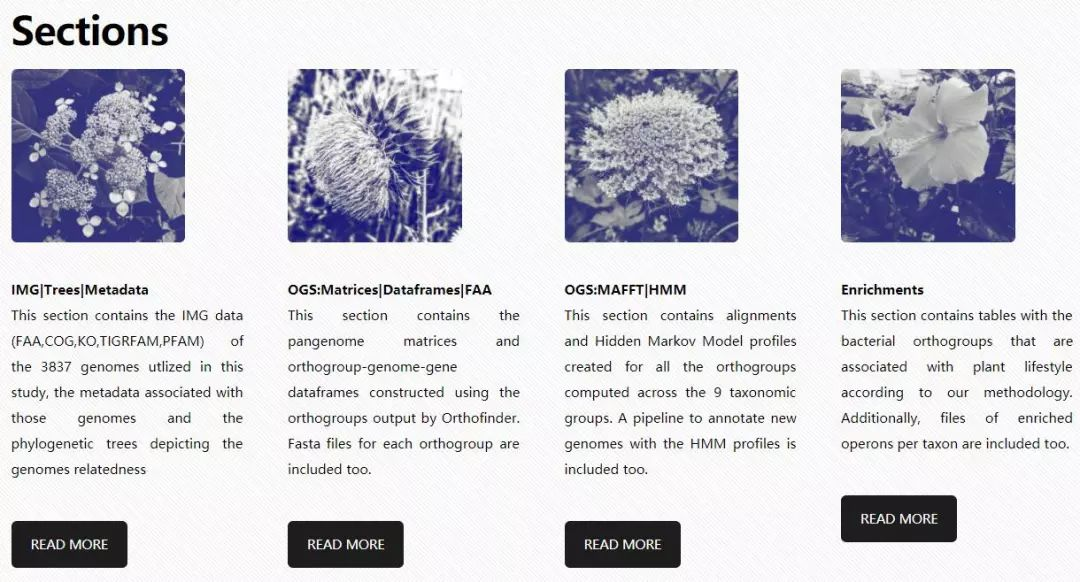 Nature Genetics：微生物如何适应植物的？-CSDN博客