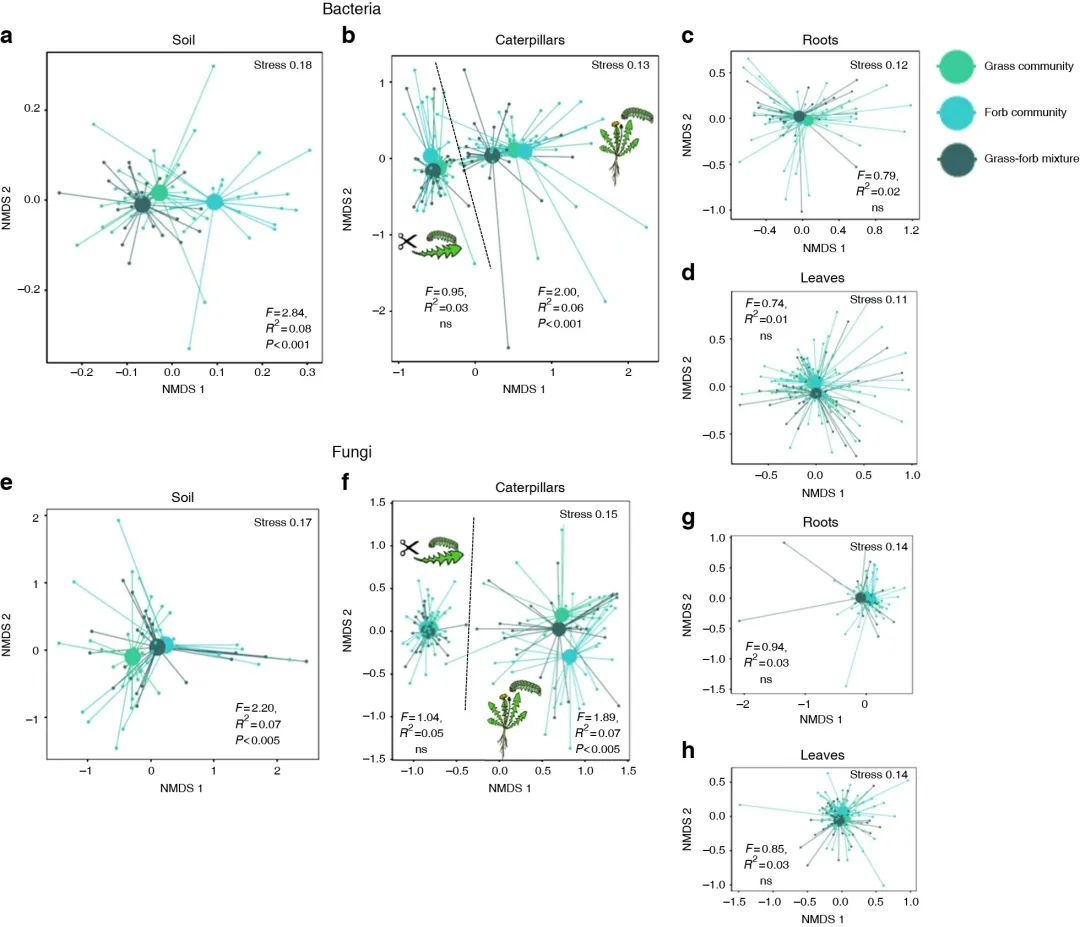 221.Beta多样性PCoA和NMDS排序-CSDN博客