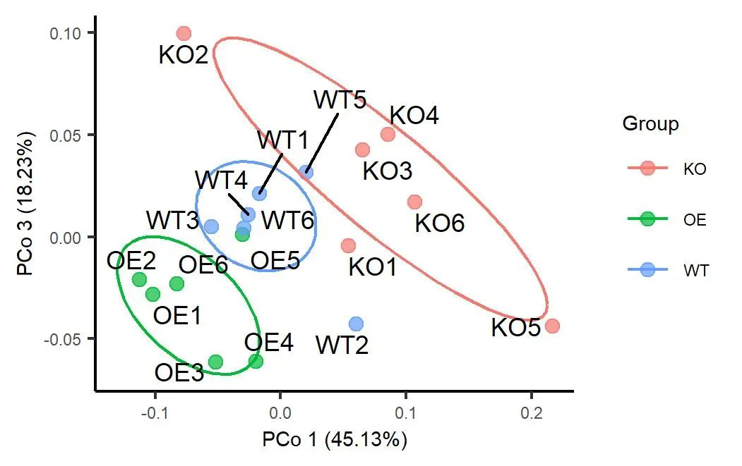 221.Beta多样性PCoA和NMDS排序-CSDN博客