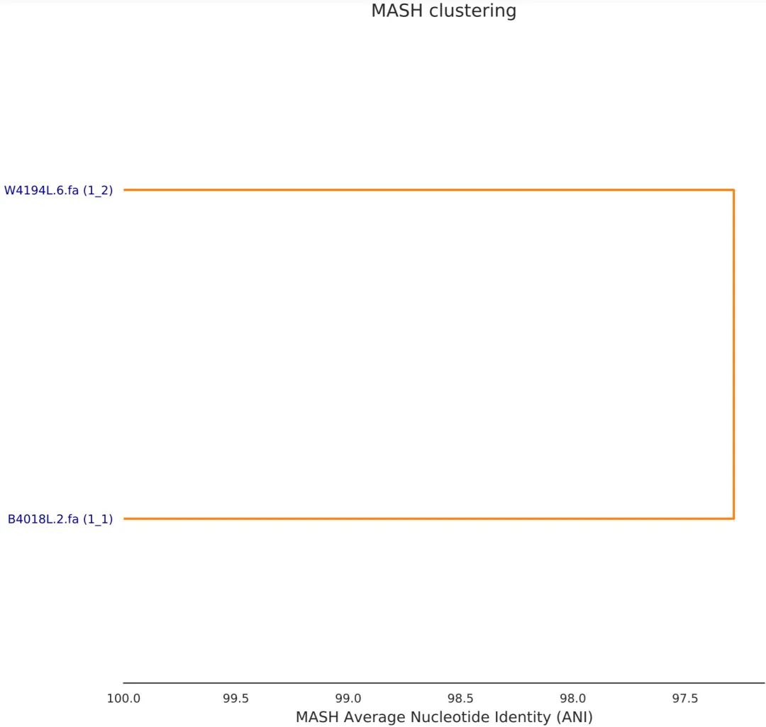 drep：微生物基因组快速去冗余-文章解读+帮助文档+实战-CSDN博客