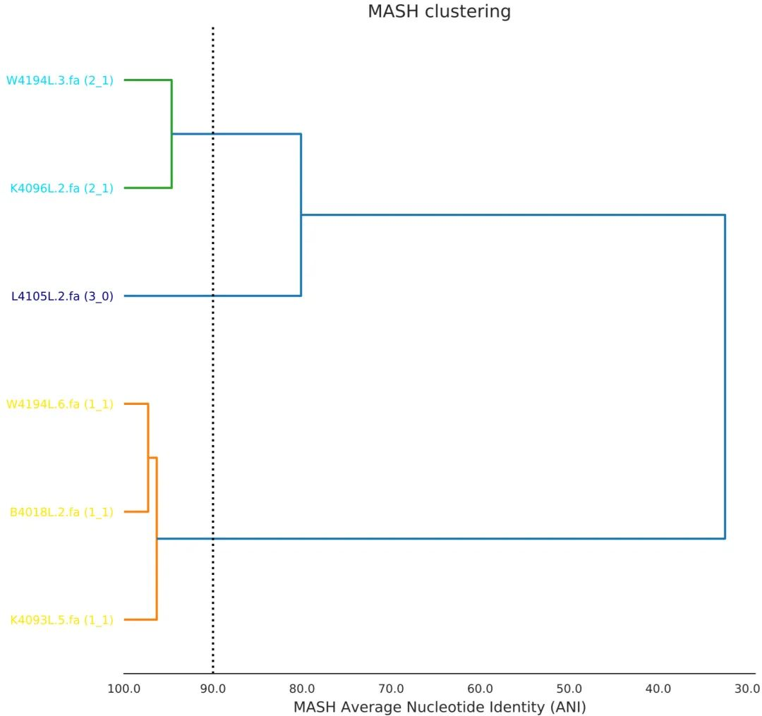 drep：微生物基因组快速去冗余-文章解读+帮助文档+实战-CSDN博客