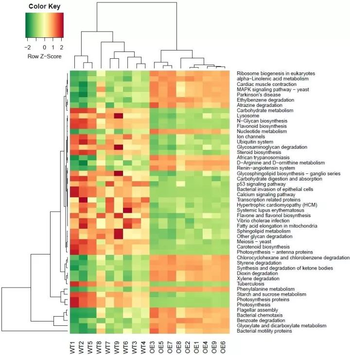PICRUSt：16S预测宏基因组-扩增子分析锦上添花-CSDN博客