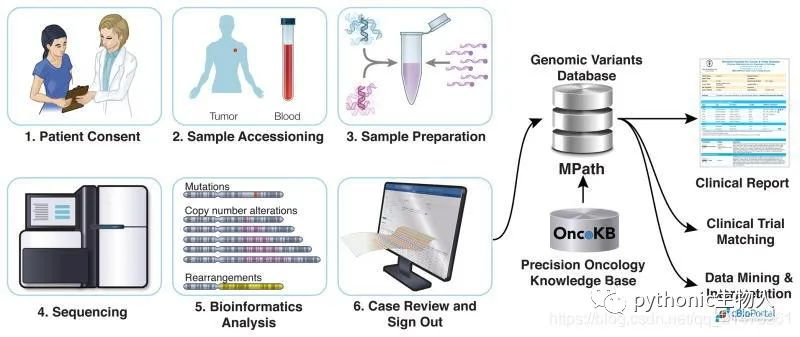 Omics精进04|临床Gene Panel检测-实验&&生物信息学分析_matched germline一般是白细胞-CSDN博客