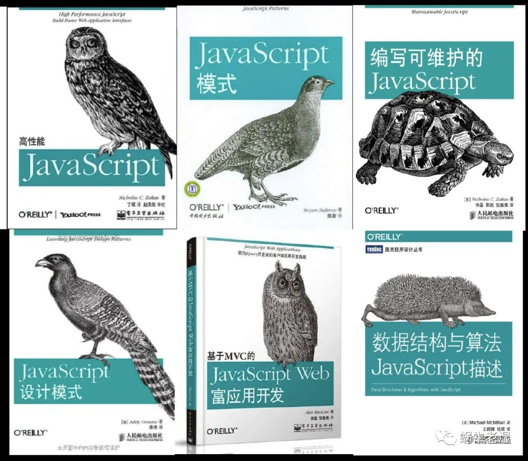 前端必备Javascript 书籍测评【含红宝书和绿皮书】-CSDN博客