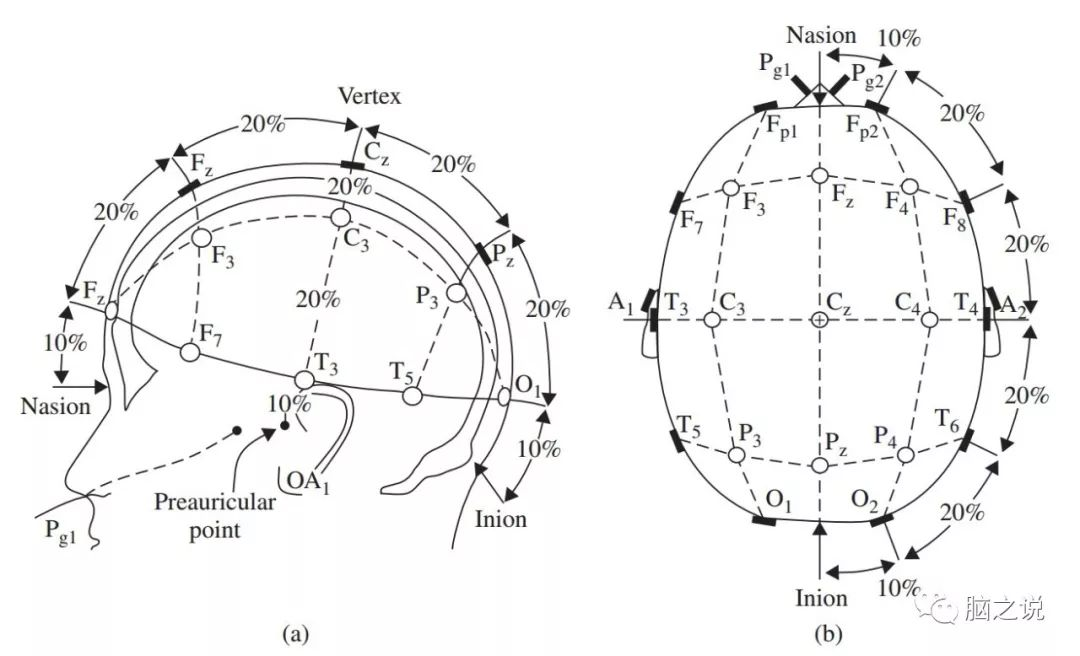 EEG中的10-20和10-10标准导联系统介绍 - 程序员大本营