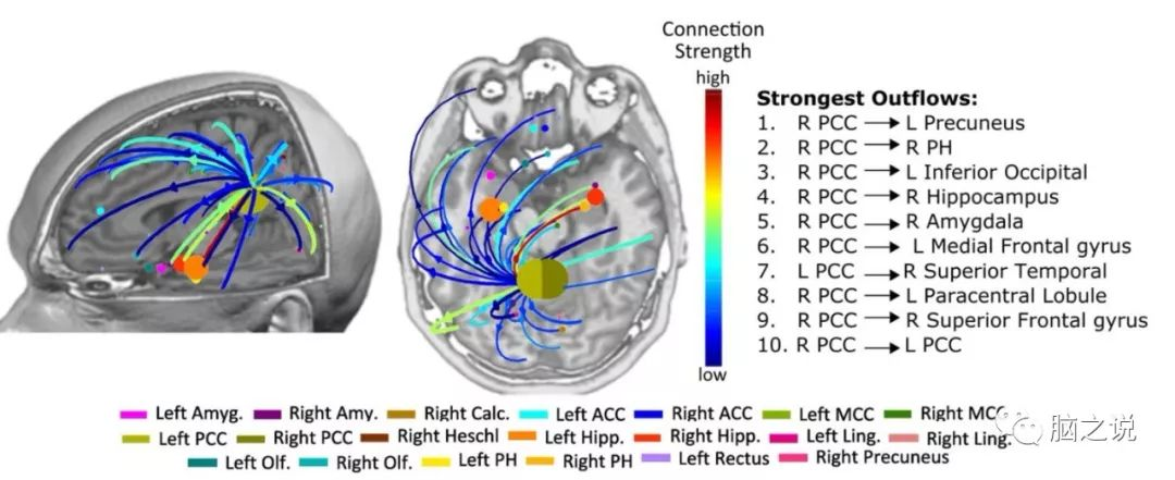 Human Brain Mapping: 自发性大脑活动的有向功能连接-CSDN博客