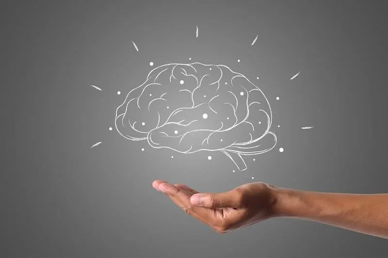 最新大脑图谱研究表明，手部的运动区域也与整个身体相连_hand knob area of premotor cortex represents ...