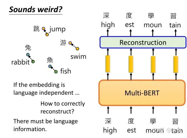 一文带你了解MultiBERT-CSDN博客
