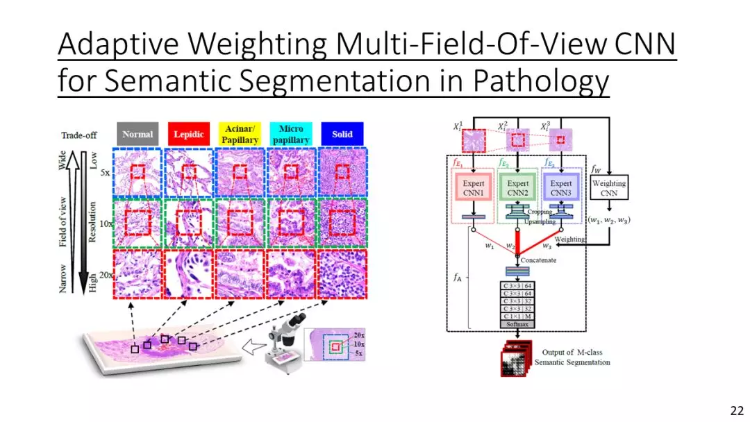 CVPR2019医学影像分析文集_2019cvpr医学图像-CSDN博客