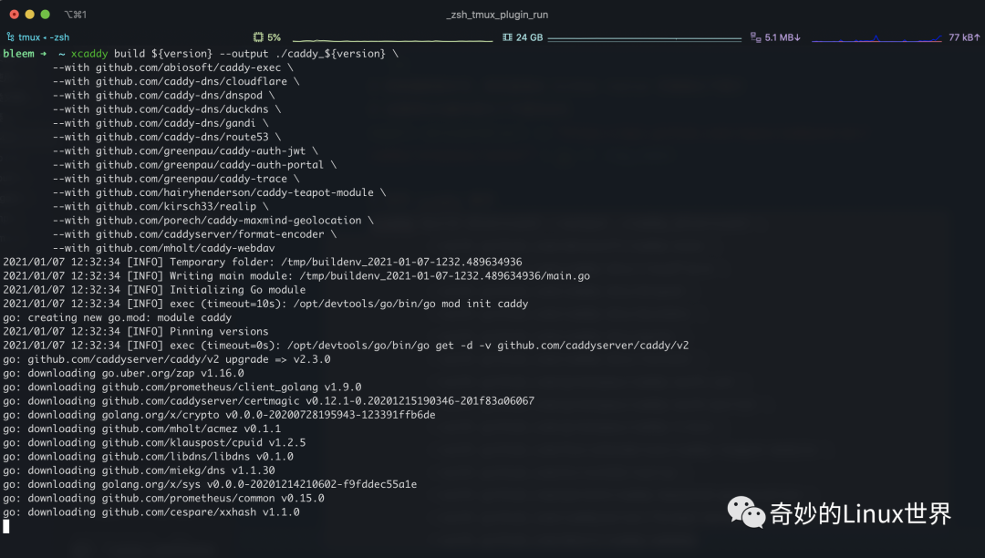 又一个比 Nginx 功能更强大的 Web 服务器 Caddy 2.0 中文入门教程-CSDN博客