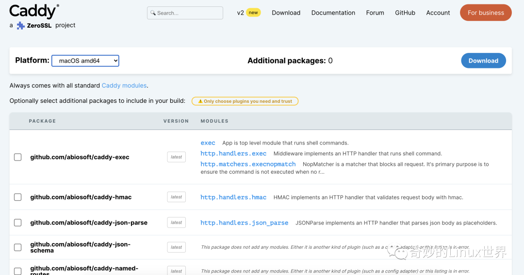 又一个比 Nginx 功能更强大的 Web 服务器 Caddy 2.0 中文入门教程-CSDN博客