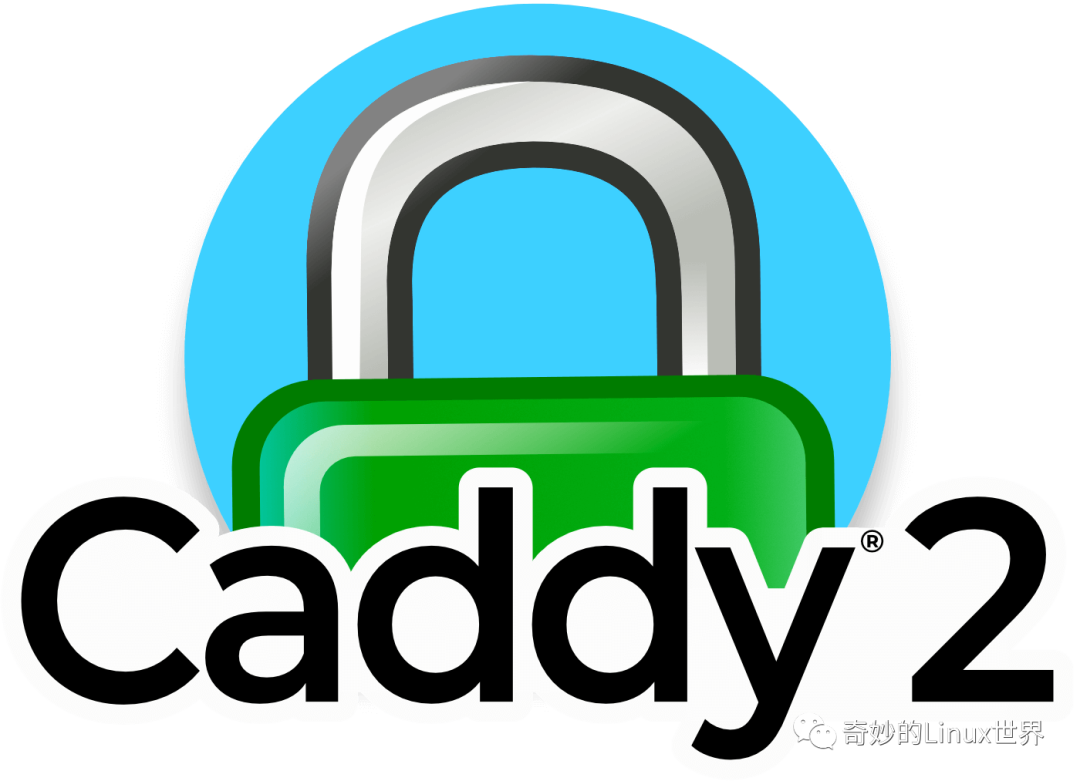又一个比 Nginx 功能更强大的 Web 服务器 Caddy 2.0 中文入门教程-CSDN博客