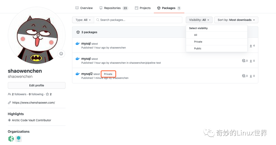 GitHub 镜像仓库服务 Ghcr 快速上手教程-CSDN博客