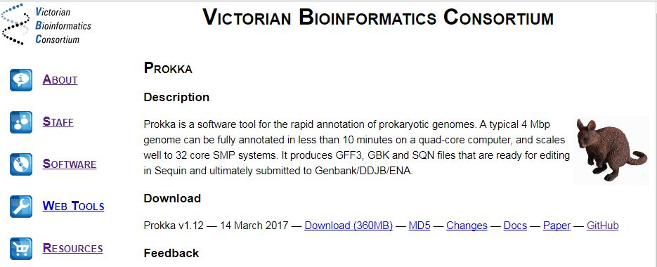 基因组注释3.基因的功能注释Prokka-CSDN博客