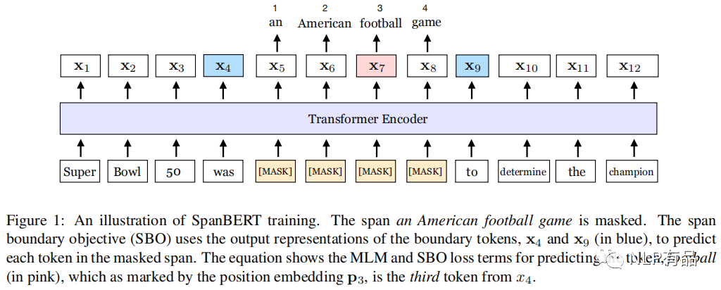 BERT家族：spanBERT_bertspan-CSDN博客