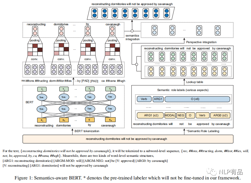 BERT家族：SemBert-CSDN博客