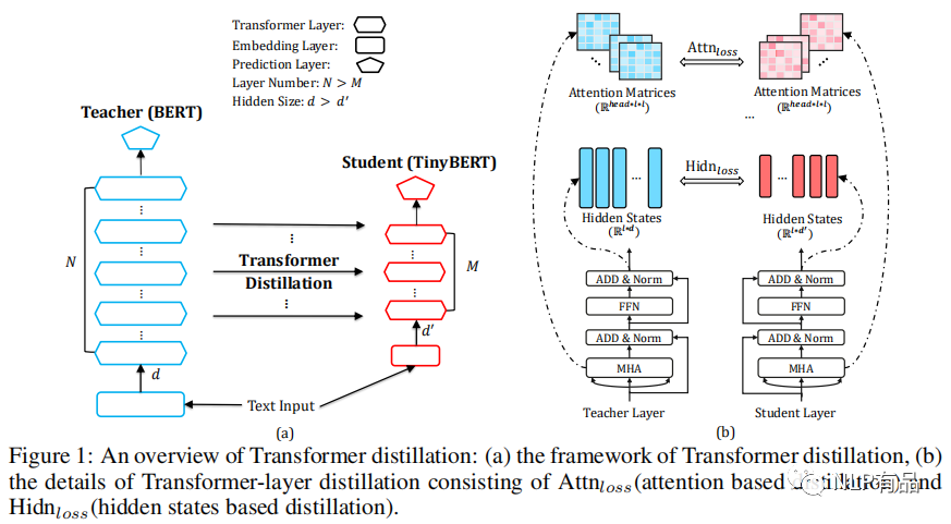 BERT家族：TinyBERT_tinybert分类-CSDN博客