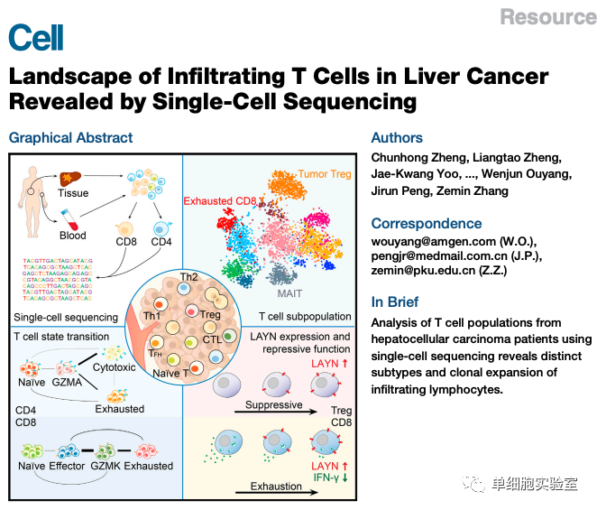 单细胞文章专列——细胞图谱-CSDN博客