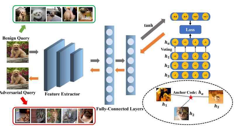 ECCV 2020 Oral 论文汇总！-CSDN博客