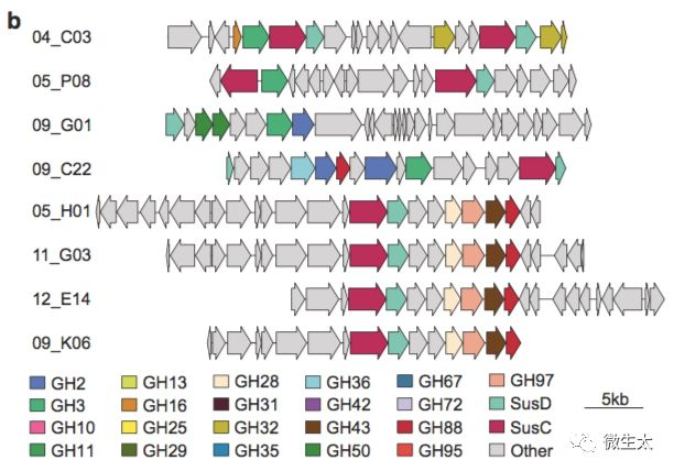 ISME：宏基因组探究美洲河狸粪便微生物-CSDN博客
