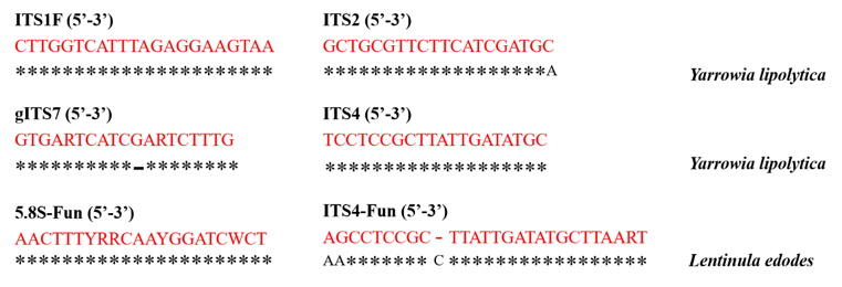 MER： 基于ITS区域marker扩增真菌群落的准确性-CSDN博客