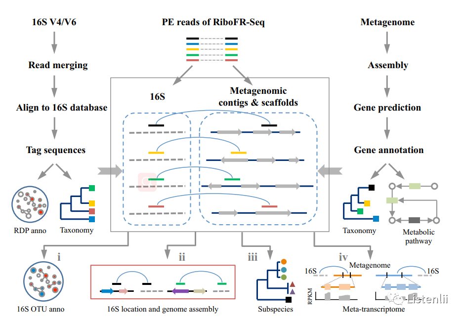 RiboFR-Seq：将16S rRNA与宏基因组连接的方法-CSDN博客