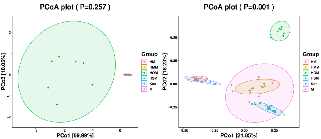 微生物16S测序数据的正确打开方式-CSDN博客
